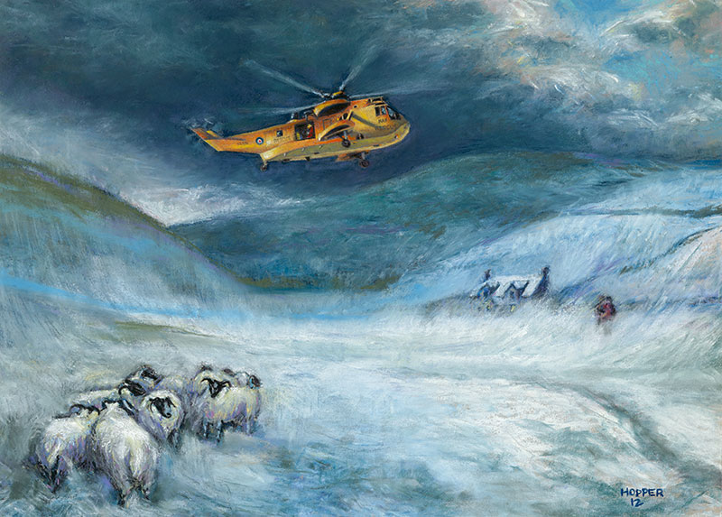 Sheep | Stephen Hopper Art